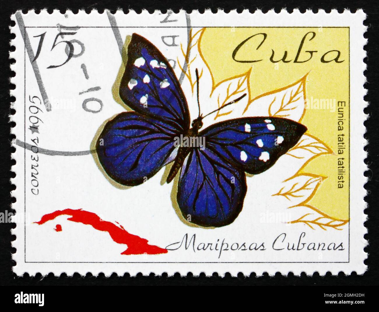 CUBA - CIRCA 1995: a stamp printed in the Cuba shows Florida Purplewing ...