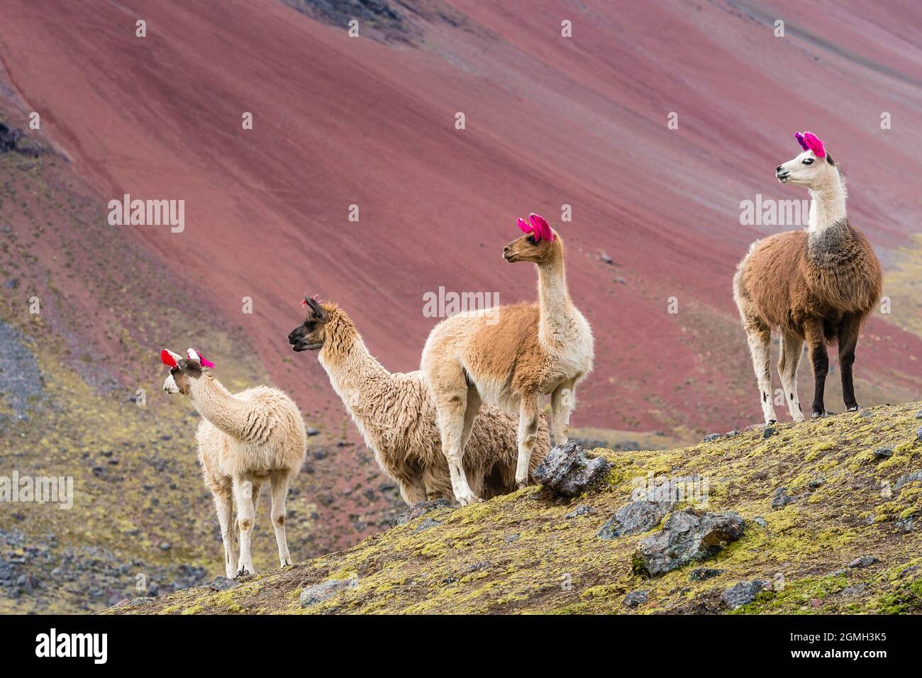 Palomani pass hi-res stock photography and images - Alamy