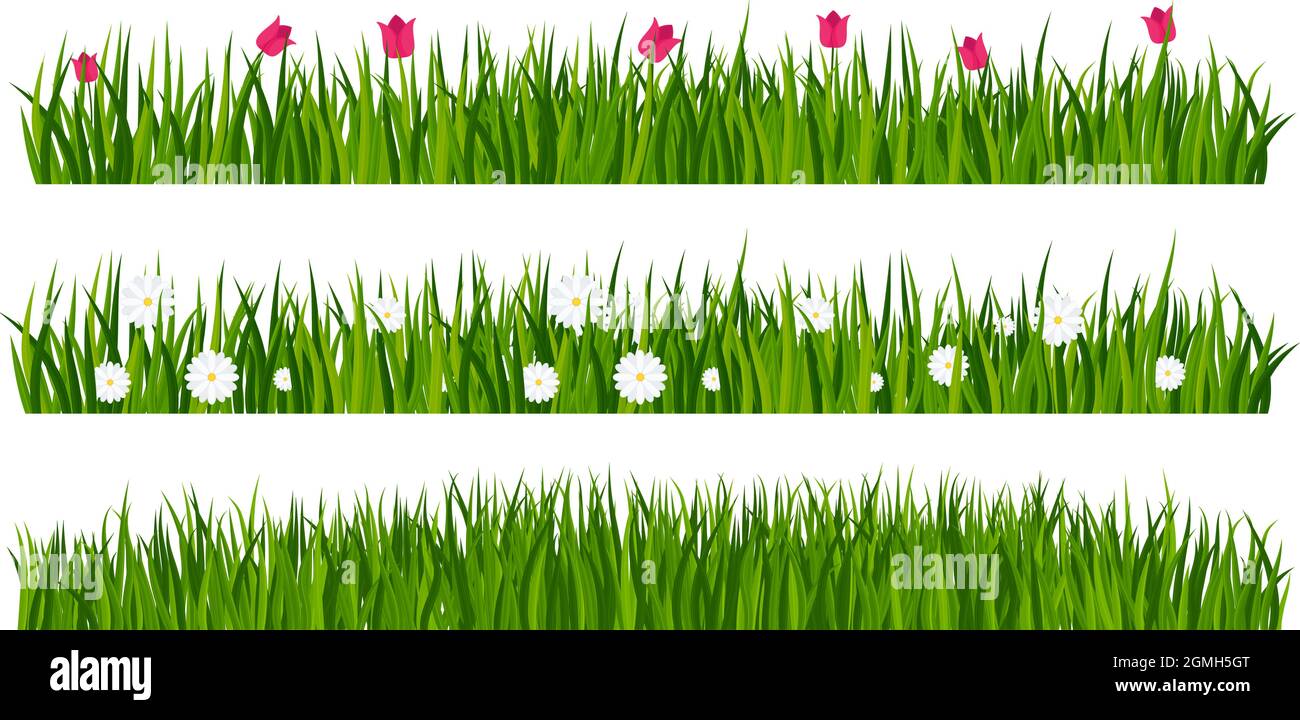 Vector green Grass borders set on white background Stock Vector Image ...