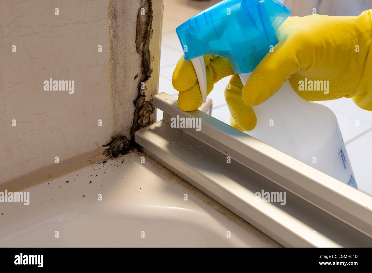dirty tile cleaning and mold removing from grout Stock Photo - Alamy