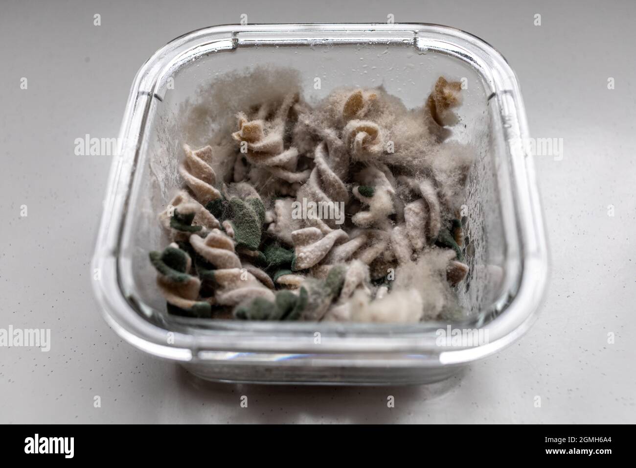 Forgotten pasta in glass container covered with mold Stock Photo - Alamy