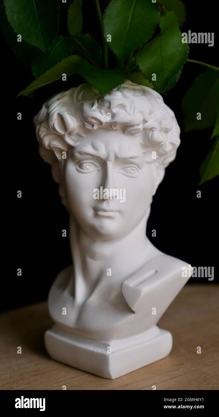 Stylish modern statue bust of David sculpture for flowers on black ...