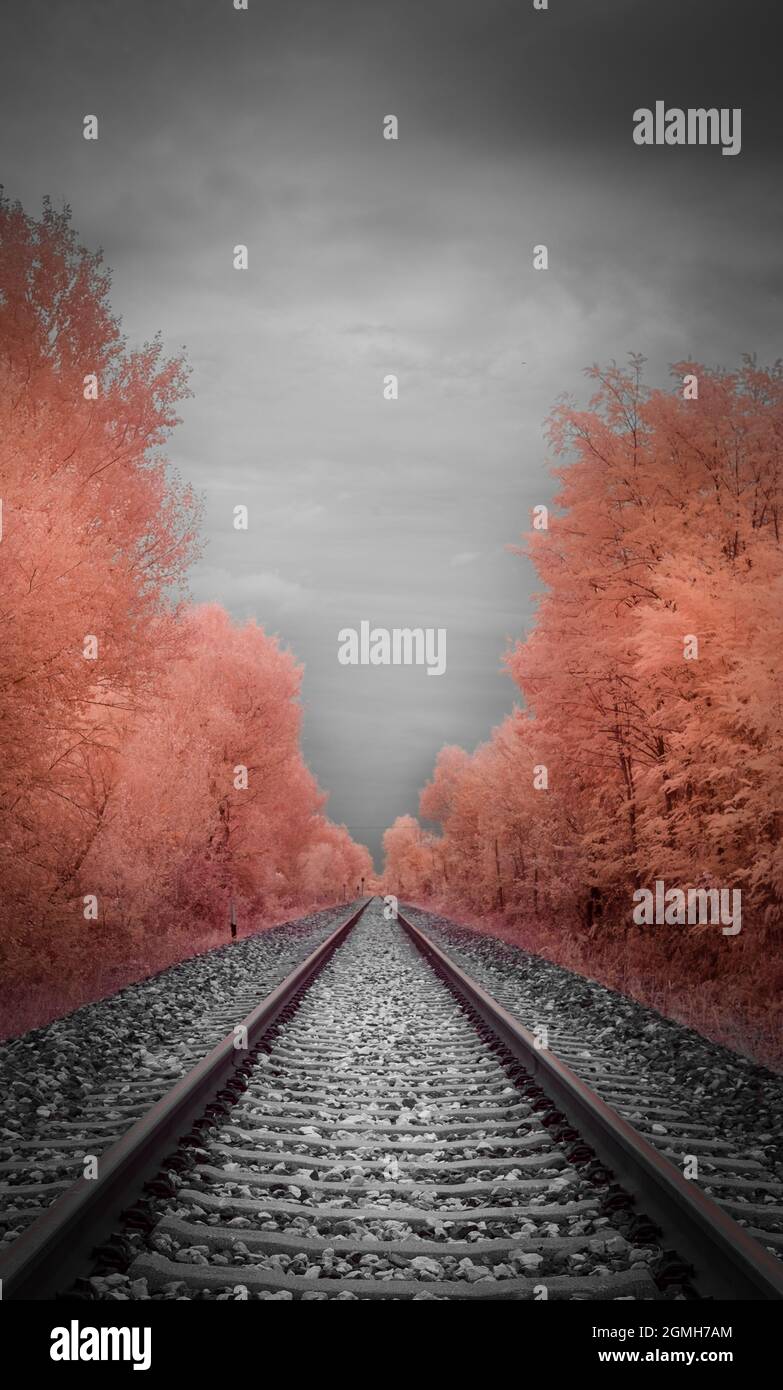 Infrared train railroad landscape scene Stock Photo - Alamy