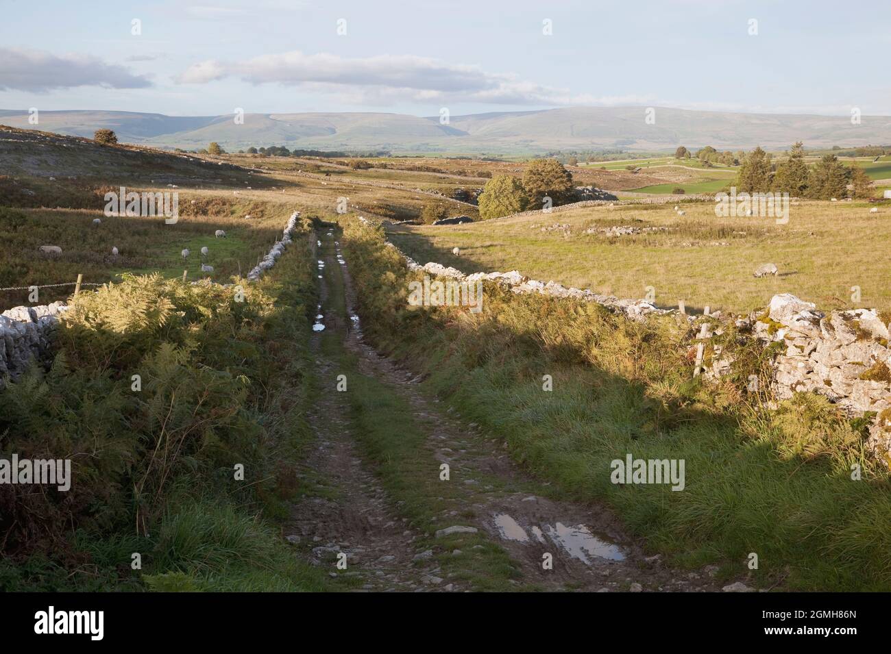 Track leading into Great Asby Scar Nature Reserve, Cumbria, UK Stock ...