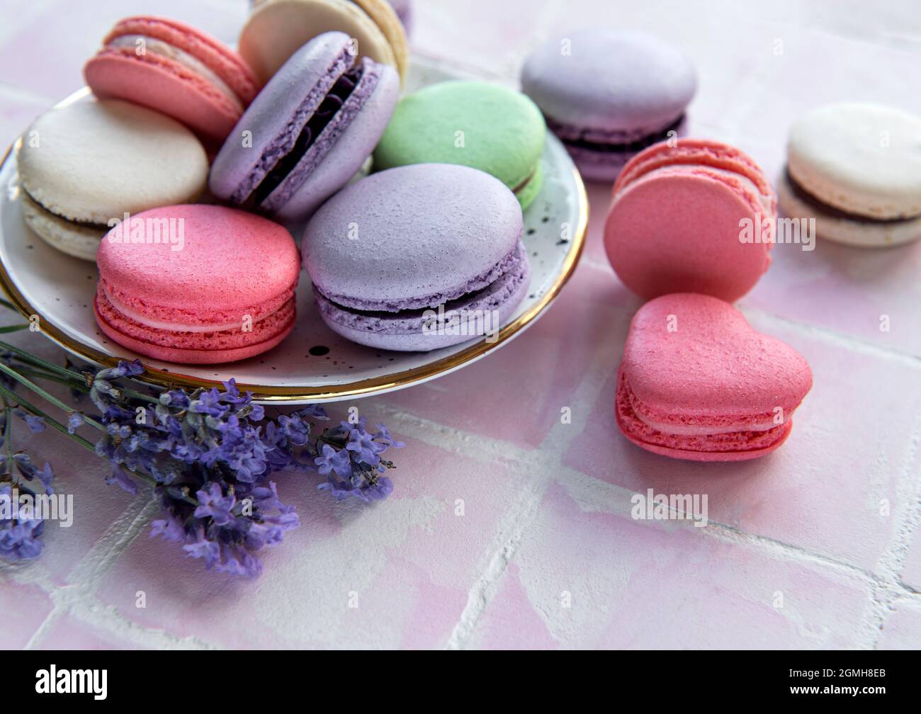 French macarons with different flavors and fresh lavender flowers Stock ...