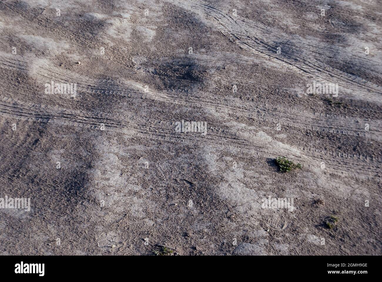 traces of car tires on the sand, after the rain Stock Photo - Alamy