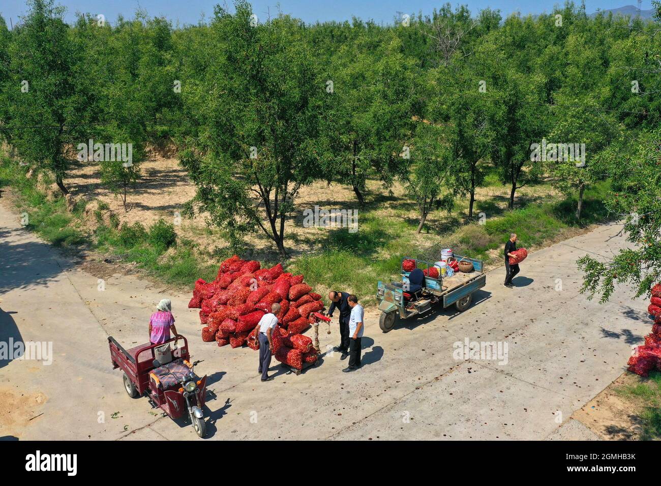 Ruicheng hi-res stock photography and images - Alamy