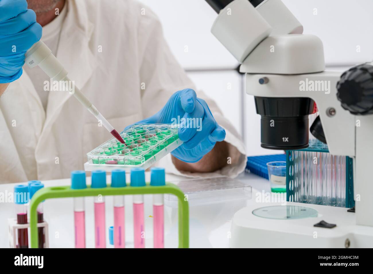 Experiment in the genetic laboratory for growing artificial organs ...