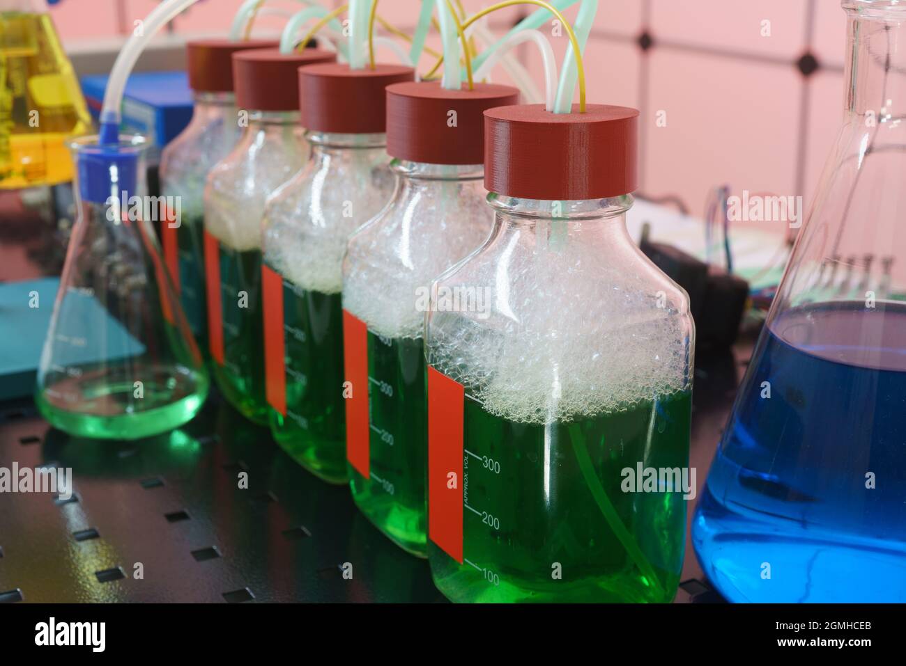 Experiments with obtaining electricity and bacteria processing ...