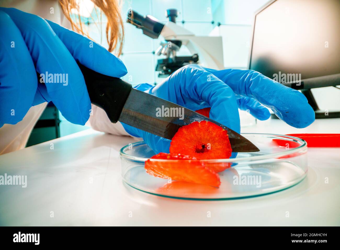 Inspection of the quality of vegetables and fruits in the laboratory of ...