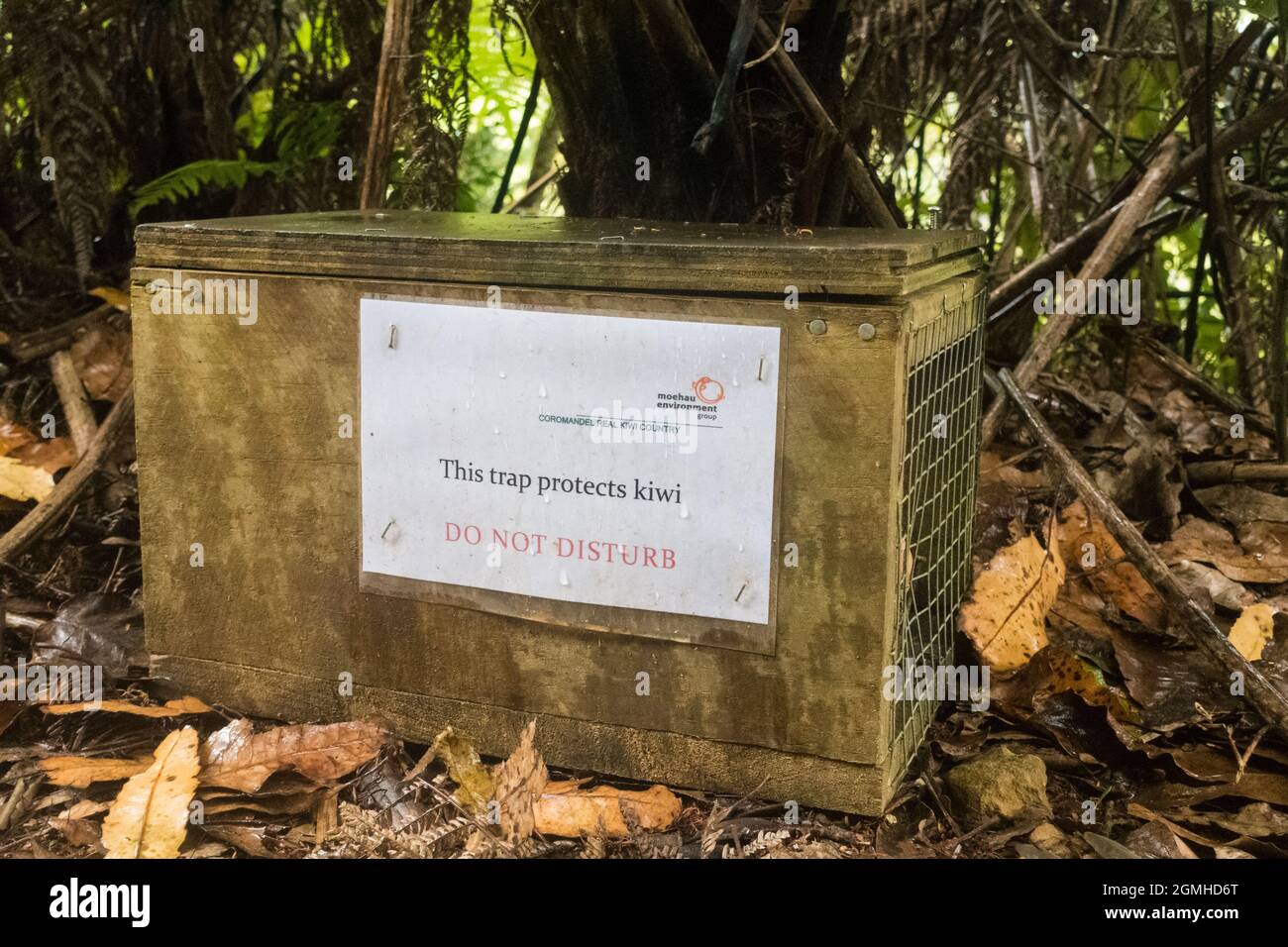 Predator trap hi-res stock photography and images - Alamy
