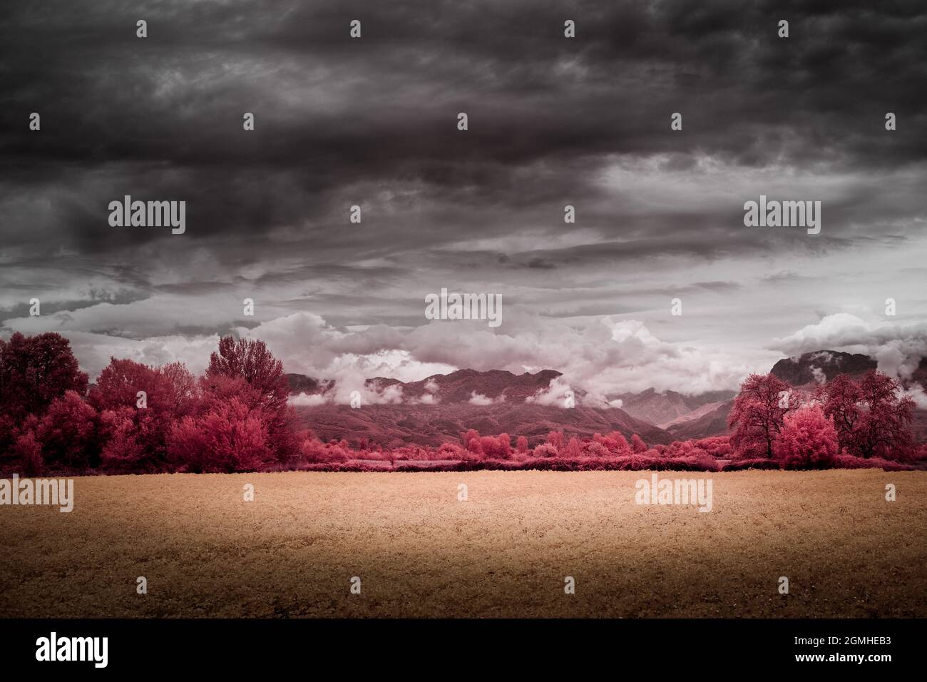 Infrared landscape scene Stock Photo - Alamy