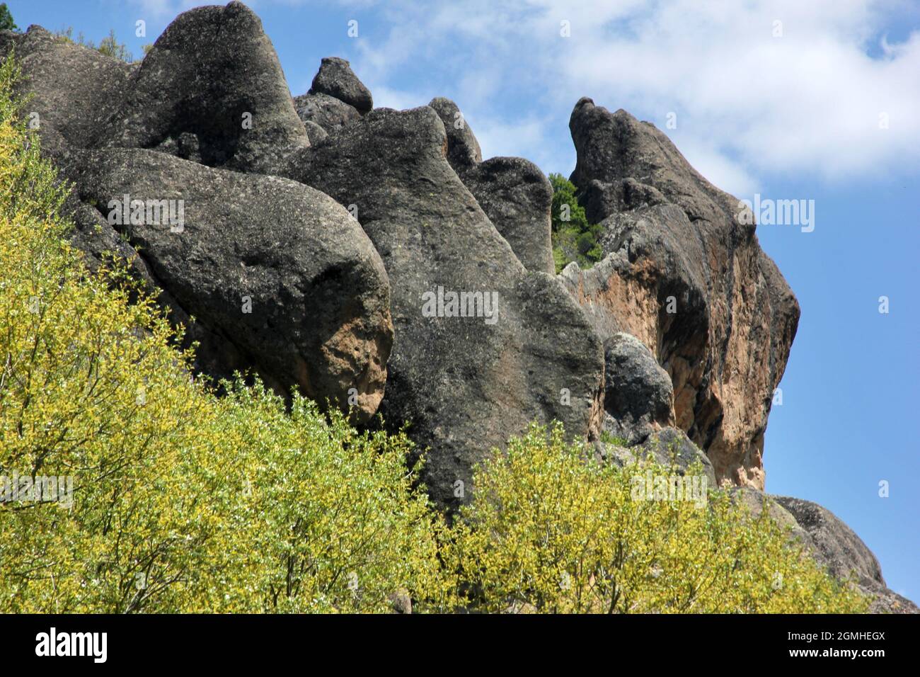Rocks and bushes on the cliff Stock Photo - Alamy
