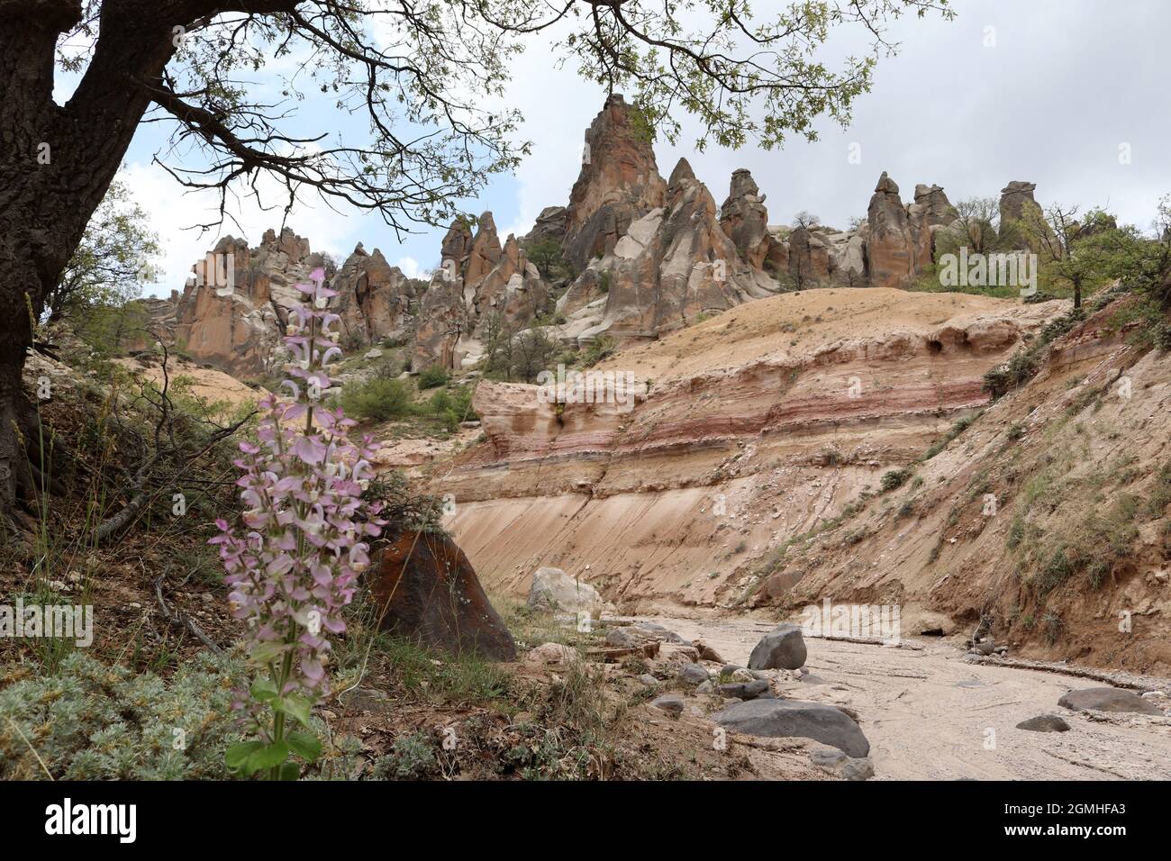 Rocks formed by wind erosion Stock Photo - Alamy