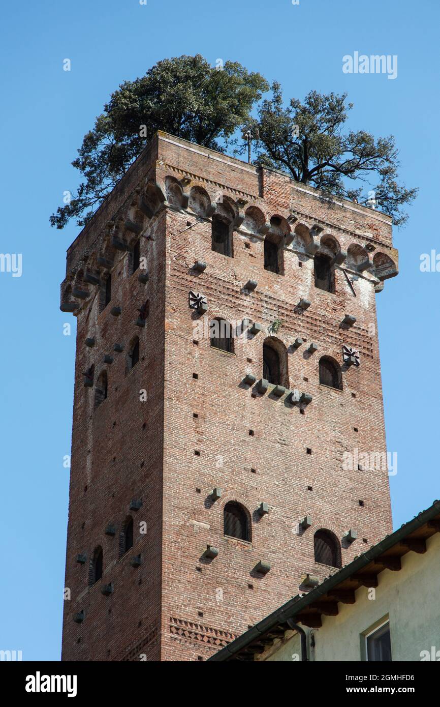 Lucca, Italy - august 21 2021 - Torre Guinigi - brick tower from 14th ...