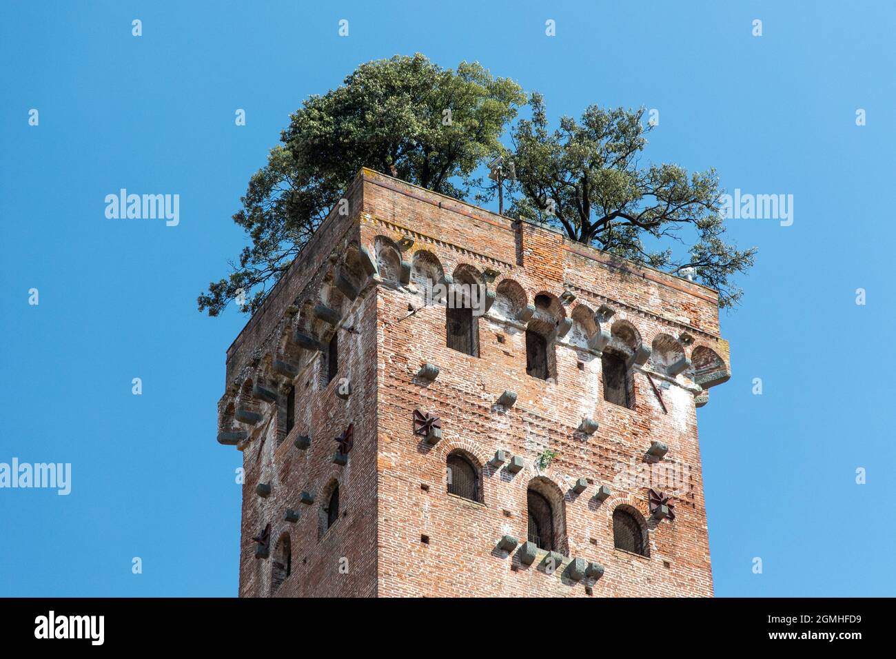 Lucca, Italy - august 21 2021 - Torre Guinigi - brick tower from 14th ...