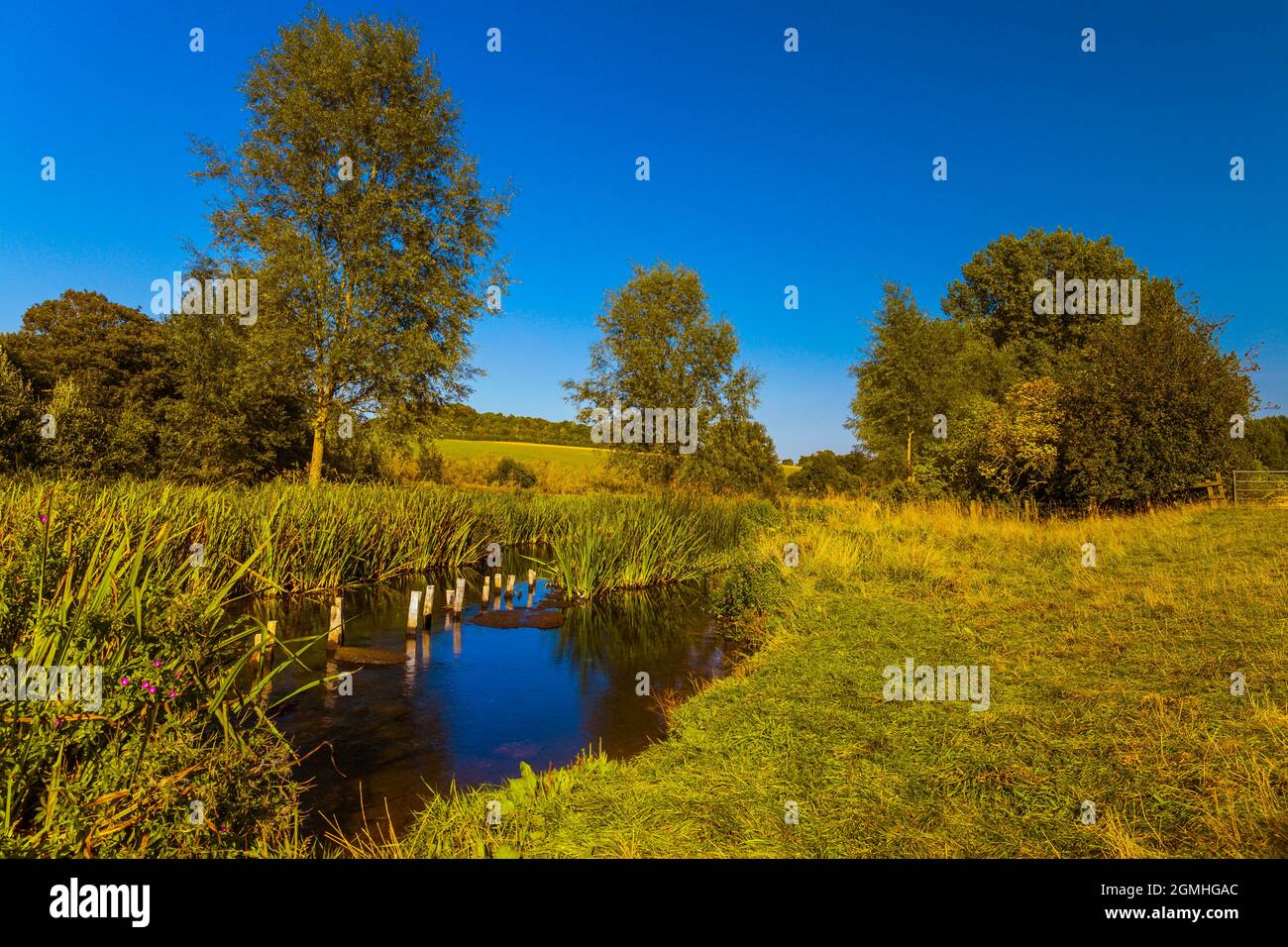 River coln, cotswolds hi-res stock photography and images - Alamy