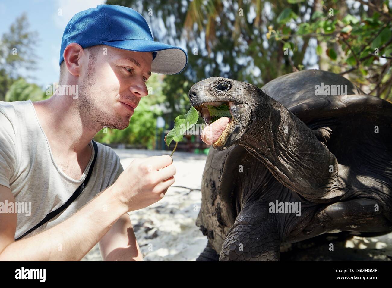 Aldabra tortoise people hi-res stock photography and images - Alamy