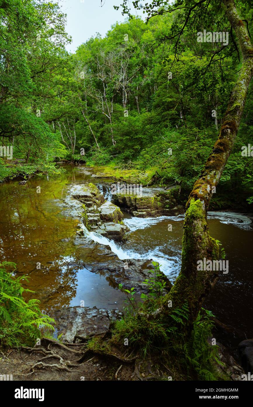 River Neath at the start of the Elidir Trail Stock Photo - Alamy