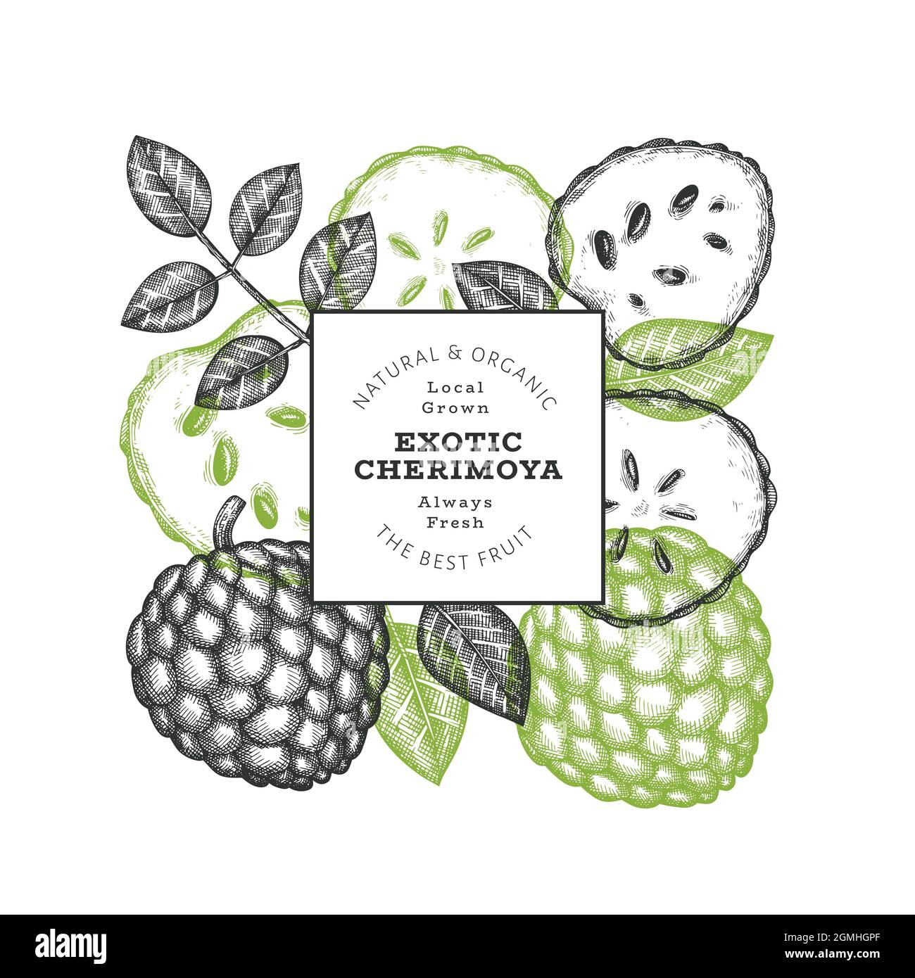 Cherimoya vector vectors hi-res stock photography and images - Alamy