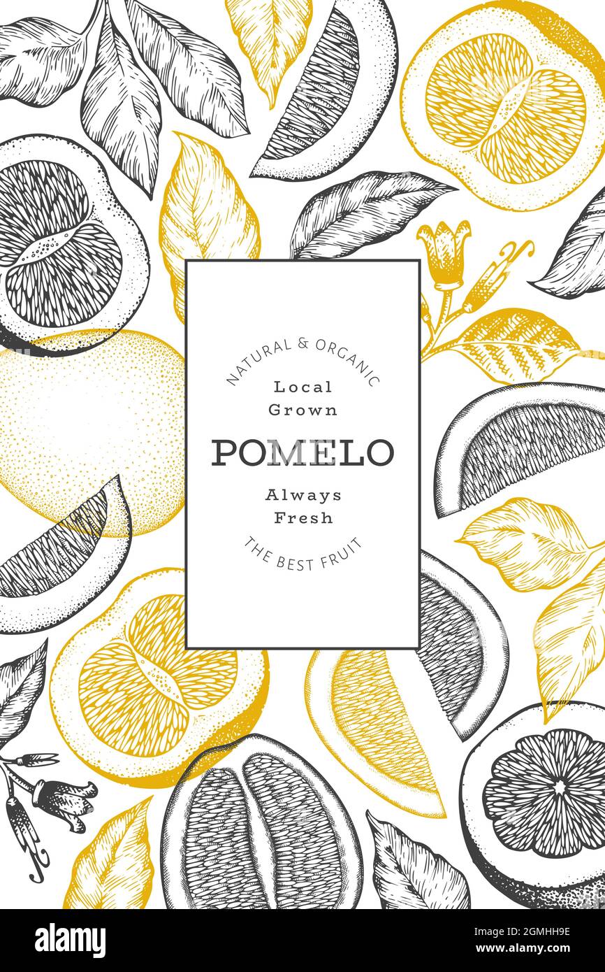 Hand drawn sketch style pomelo banner. Organic fresh fruit vector ...