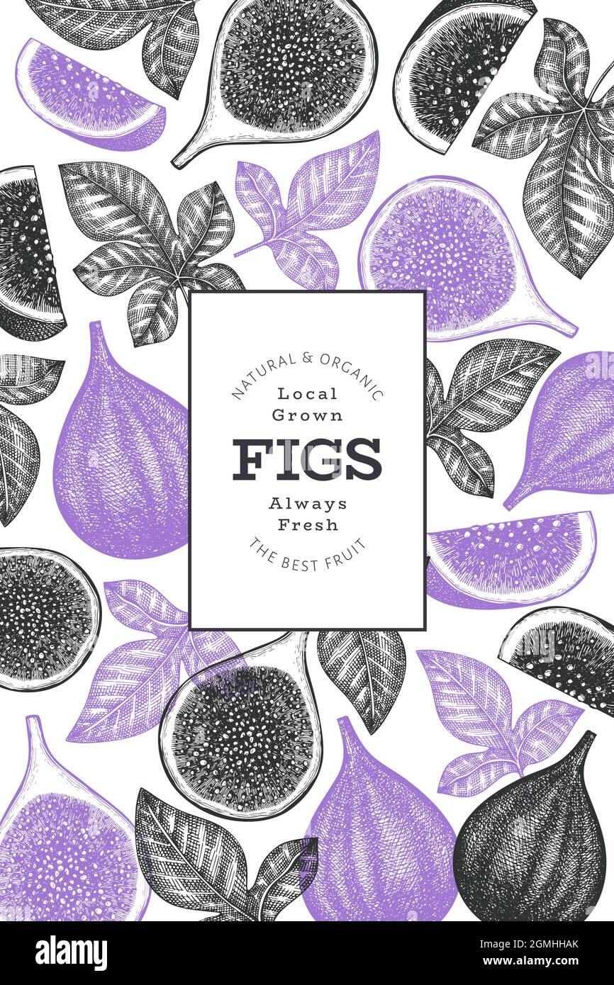 Hand drawn fig fruits design template. Organic fresh food vector ...