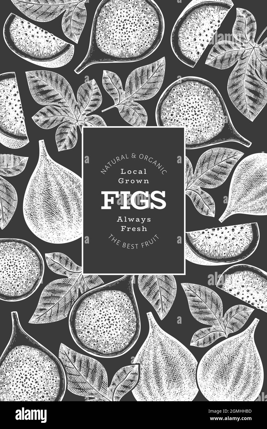 Hand drawn fig fruits design template. Organic fresh food vector ...