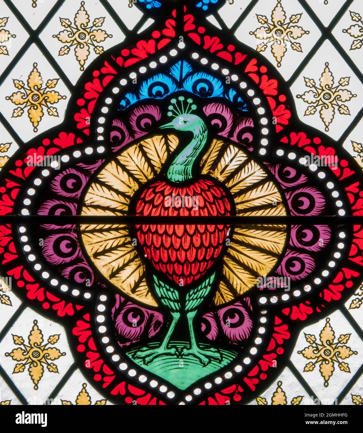 Stained Glass window, St Peter's Church, Dunton, Norfolk Stock Photo ...