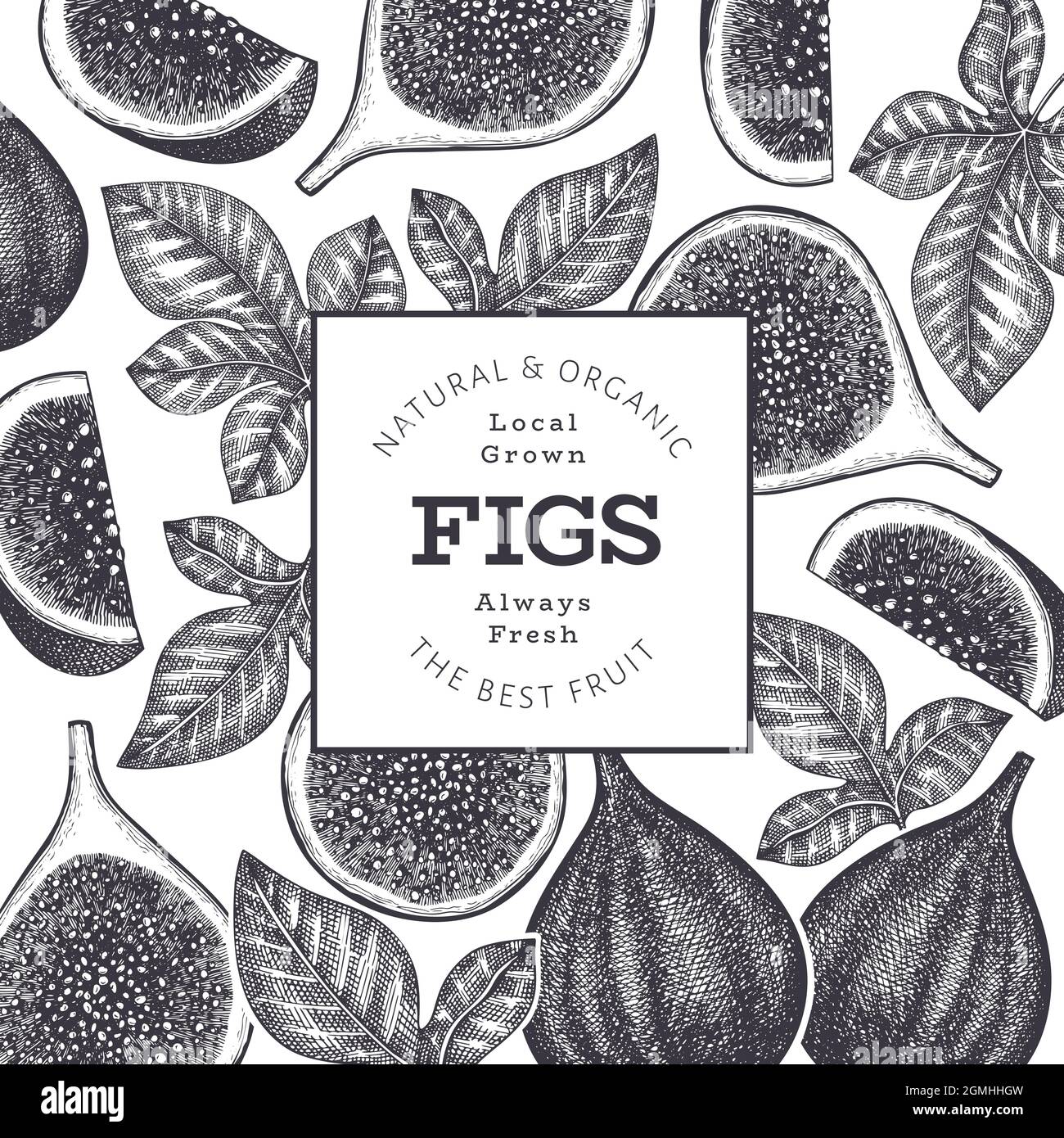 Hand drawn fig fruits design template. Organic fresh food vector ...