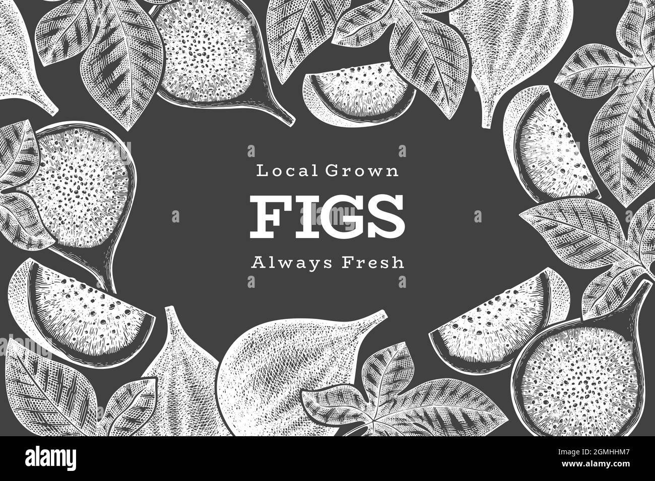 Hand drawn fig fruits design template. Organic fresh food vector ...