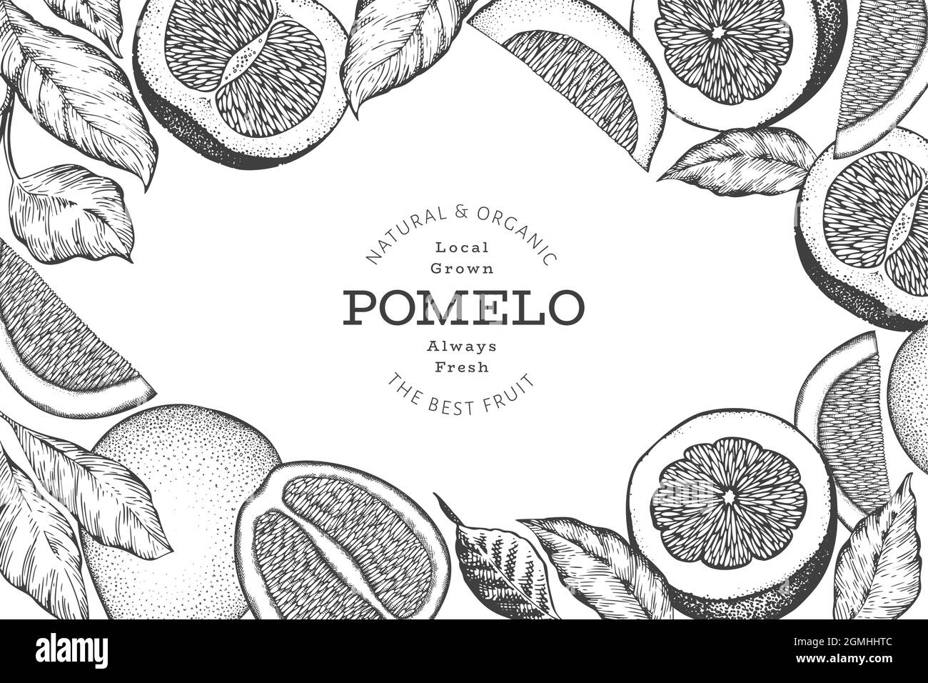 Hand drawn sketch style pomelo banner. Organic fresh fruit vector ...
