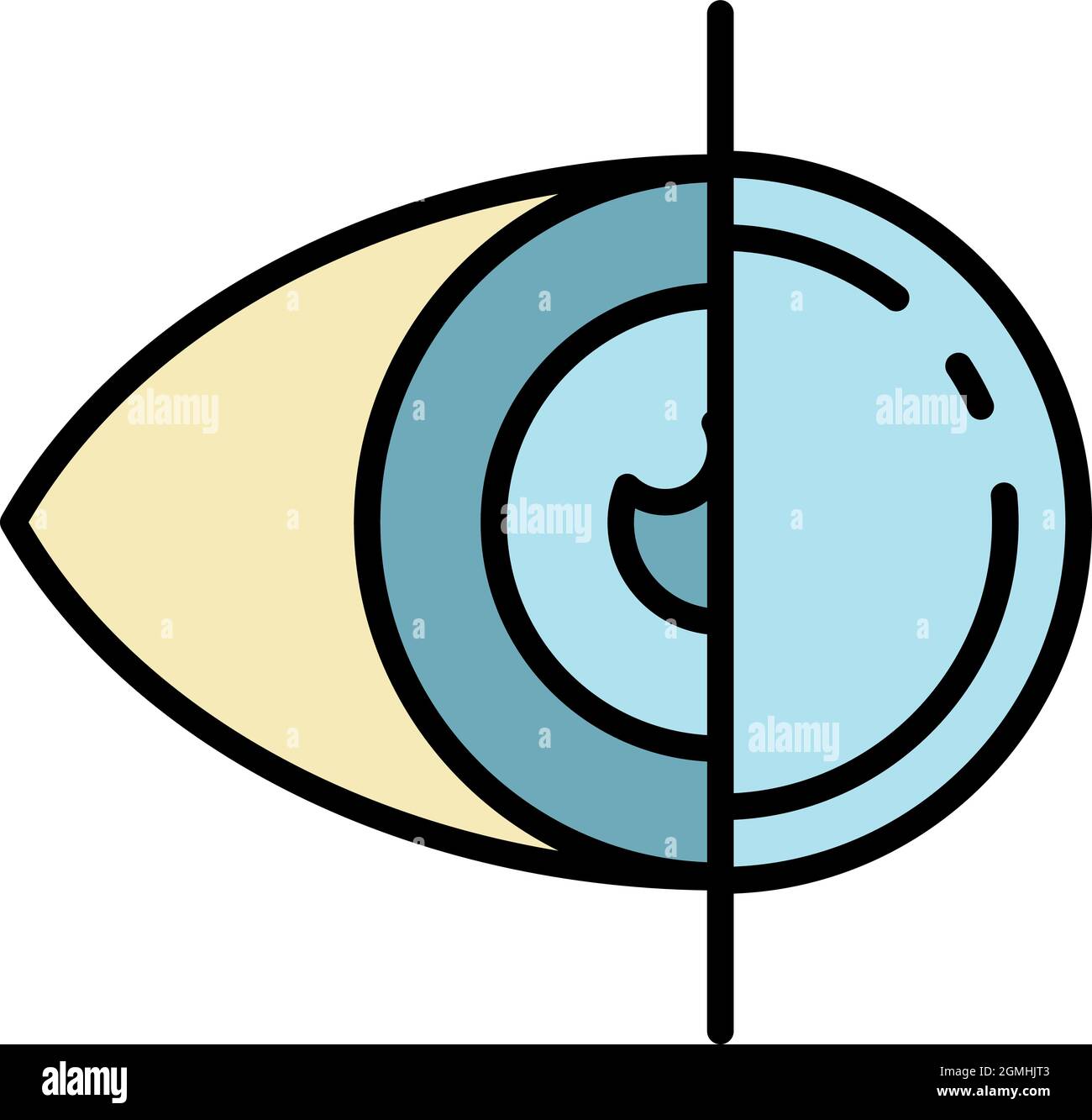 Eye contact lens icon. Outline eye contact lens vector icon color flat ...