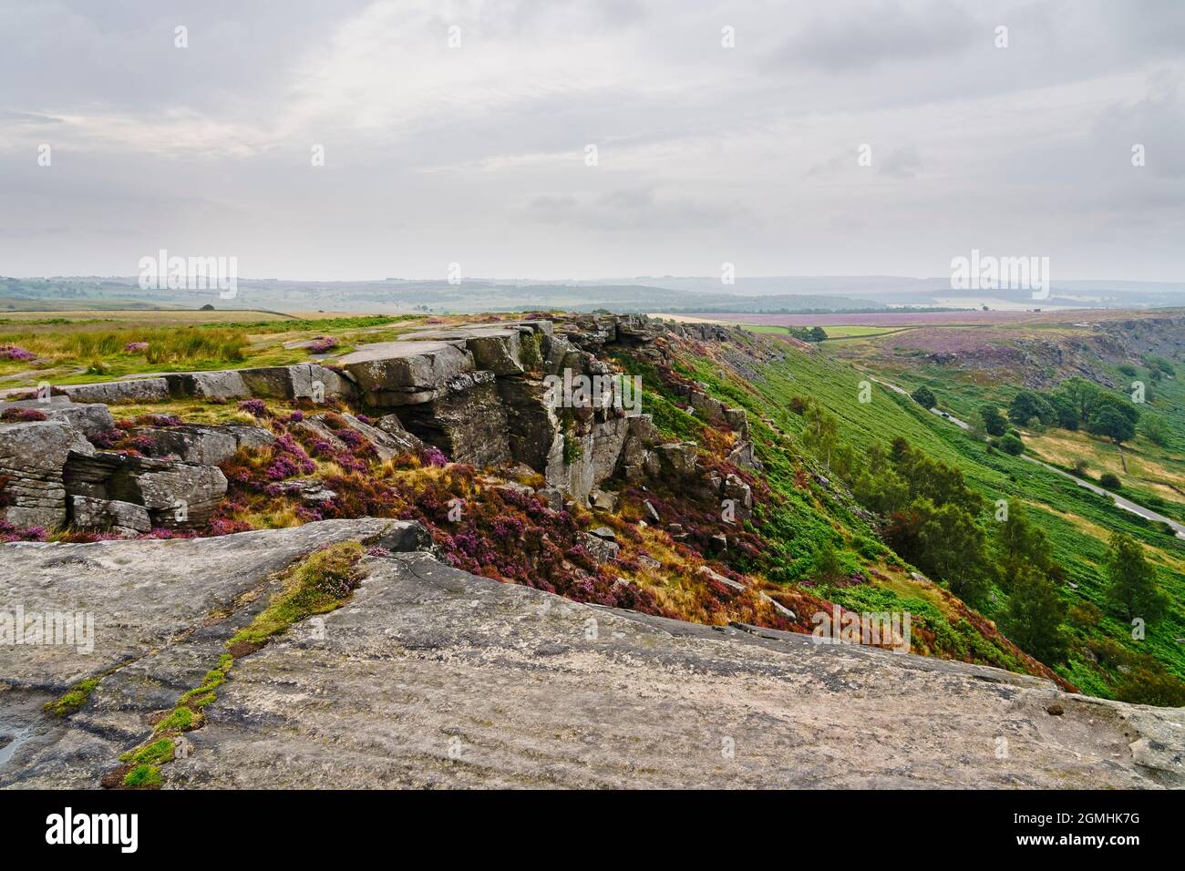 Gritstone sandstone rock fern hi-res stock photography and images - Alamy