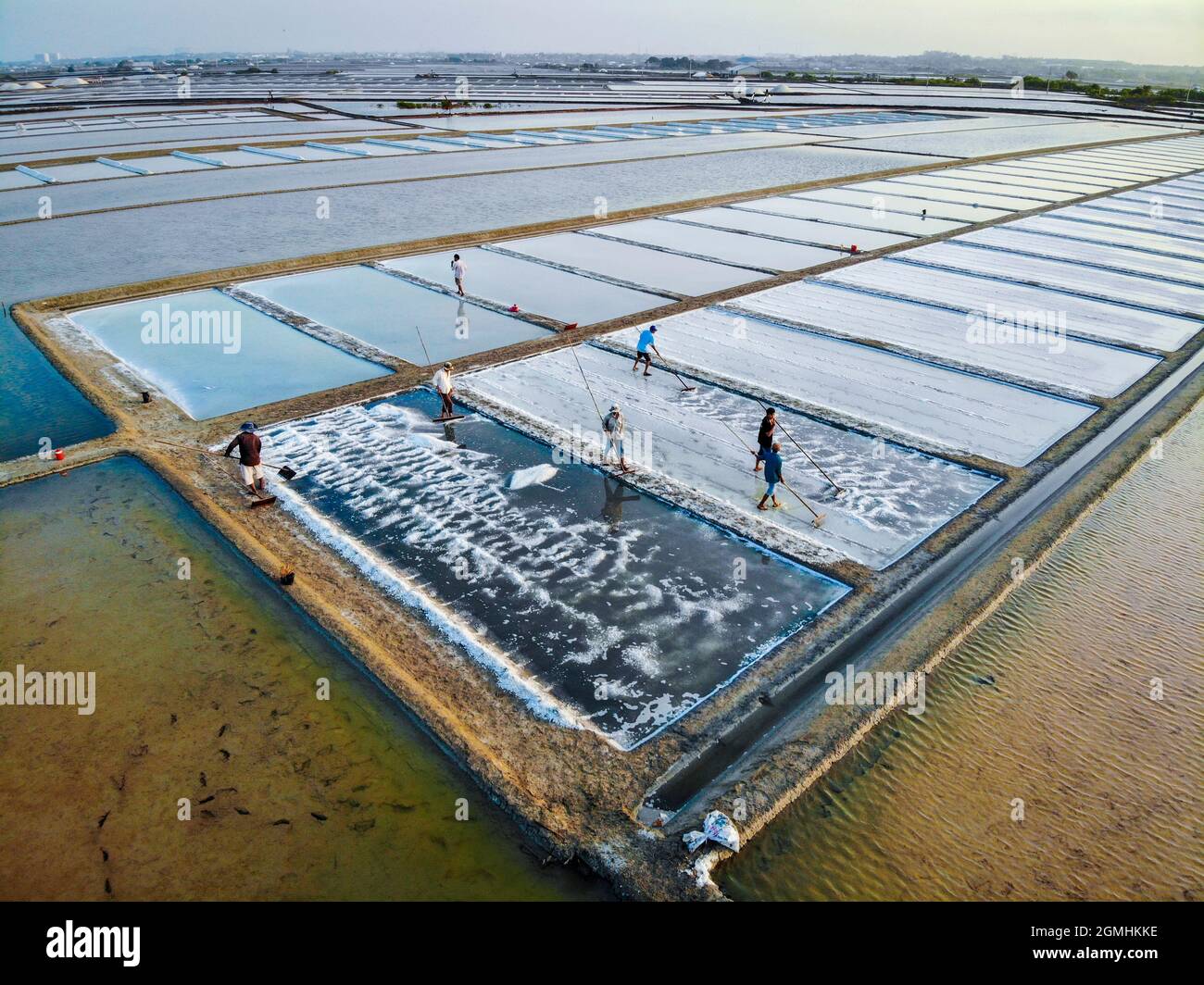 Long dien salt field hi-res stock photography and images - Alamy