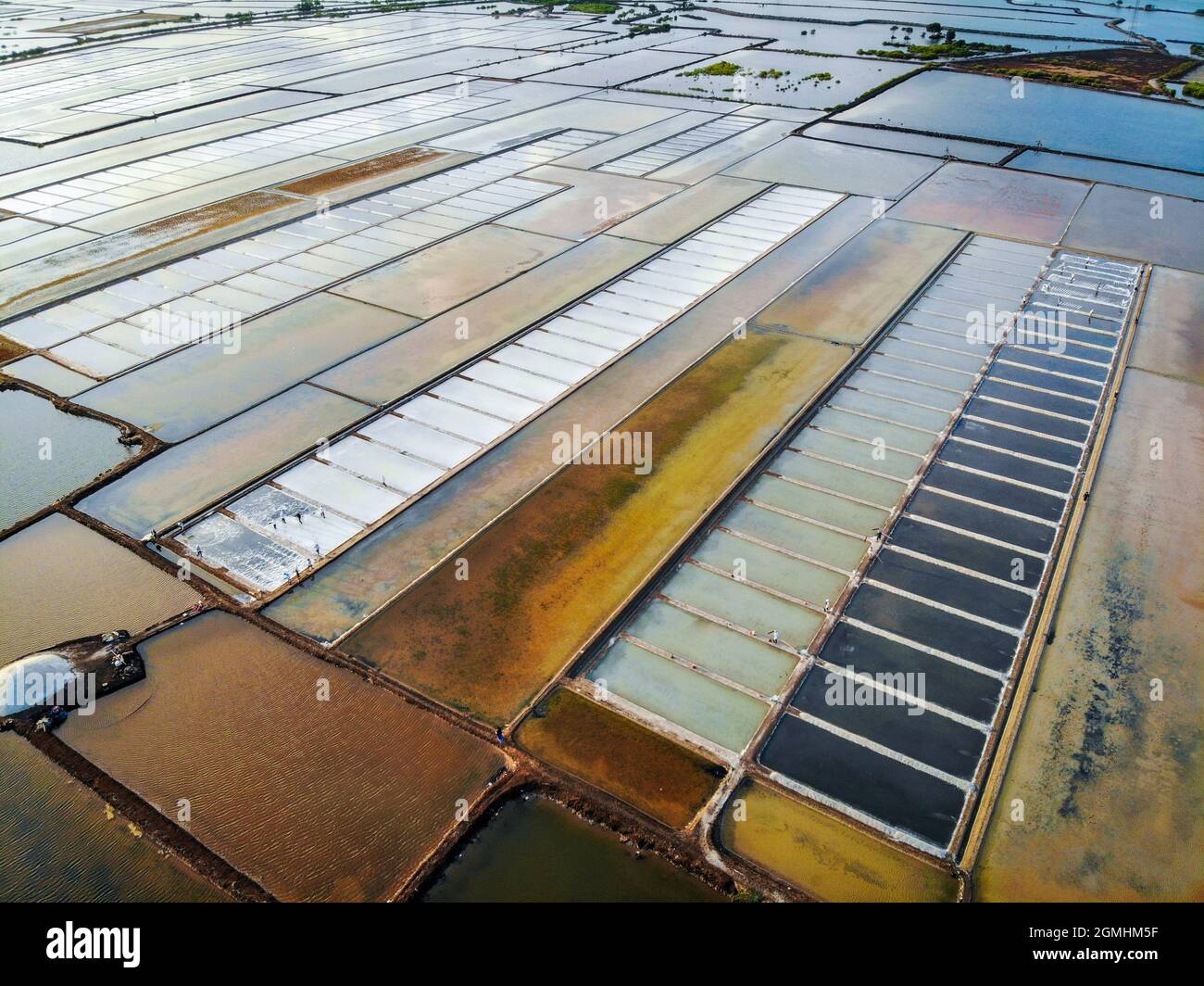 Long dien salt field hi-res stock photography and images - Alamy