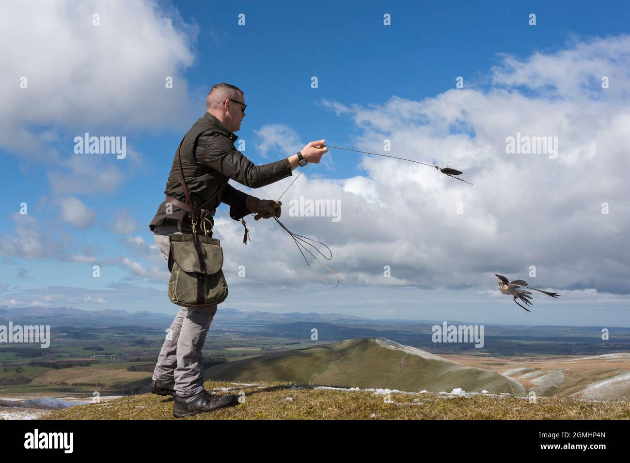 Falcon train hi-res stock photography and images - Alamy