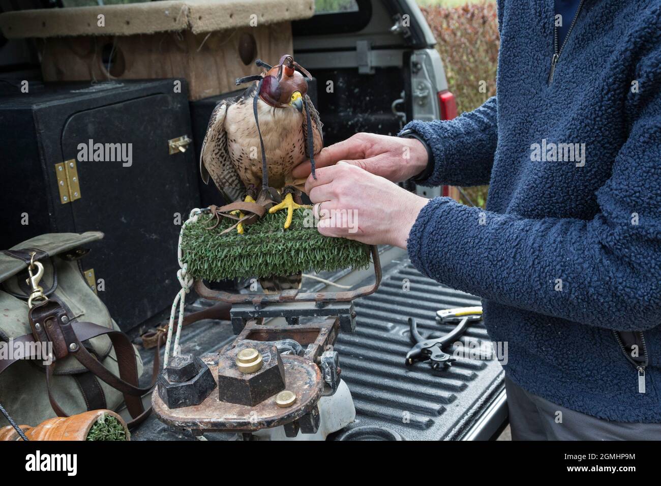 Bell attached hi-res stock photography and images - Alamy