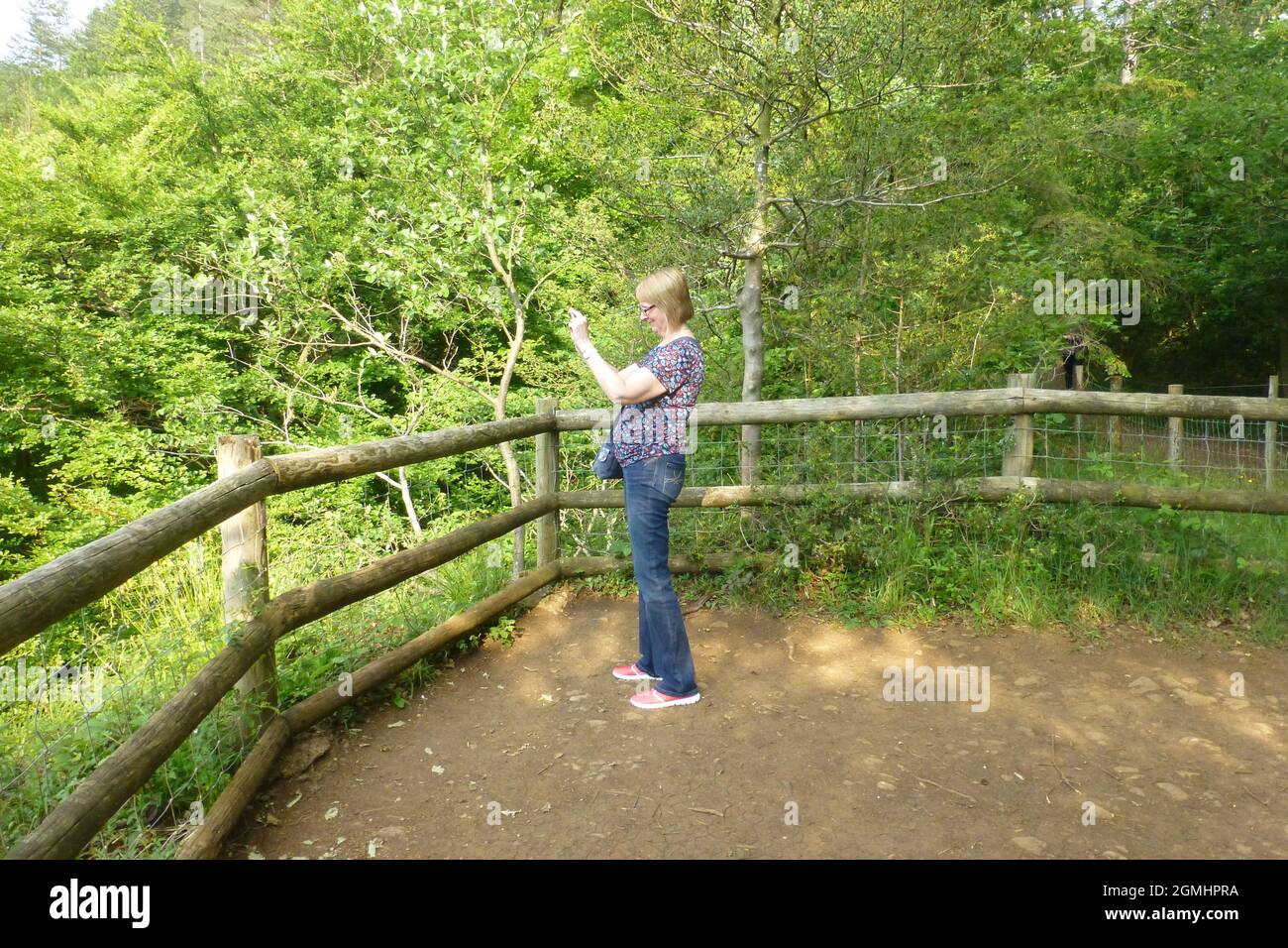 Forest of Dean Wye Valley Gloucestershire UK Stock Photo - Alamy