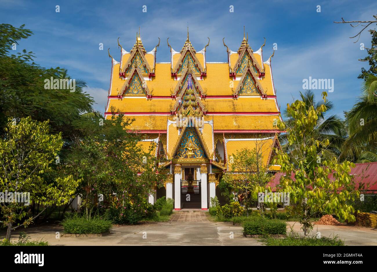 Buri tree hi-res stock photography and images - Alamy