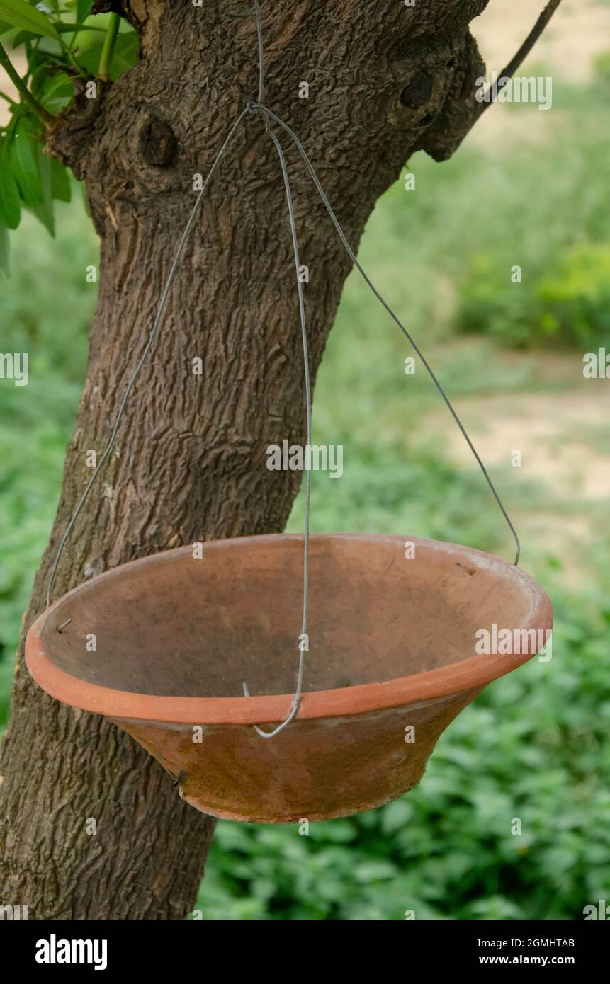 HANGING CLAY POT WITH WIRE ON THE TREE IN THE GARDEN Stock Photo - Alamy