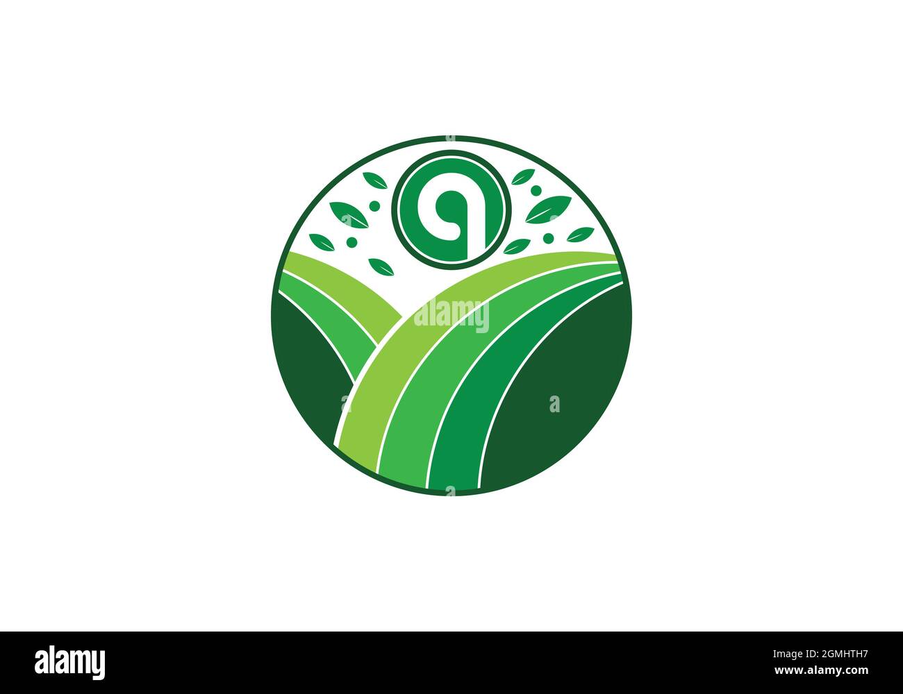 Bayer Logo Vector Png Bayer Brand Logo Eps Dxf | Descubra as vantagens ...