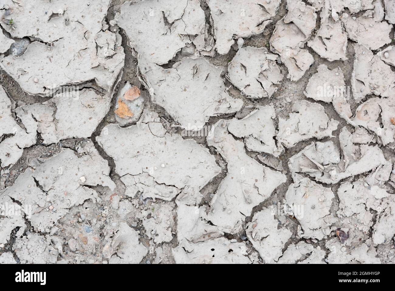 The parched ground with two brown leaves Stock Photo - Alamy