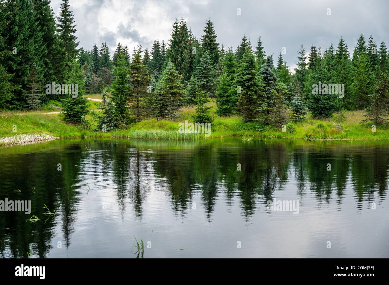 Cerna smeda hi-res stock photography and images - Alamy