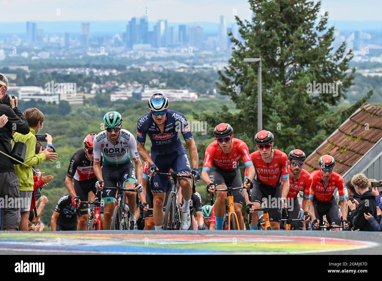 19 September 2021, Hessen, Königstein-Mammolshain: The peloton with ...