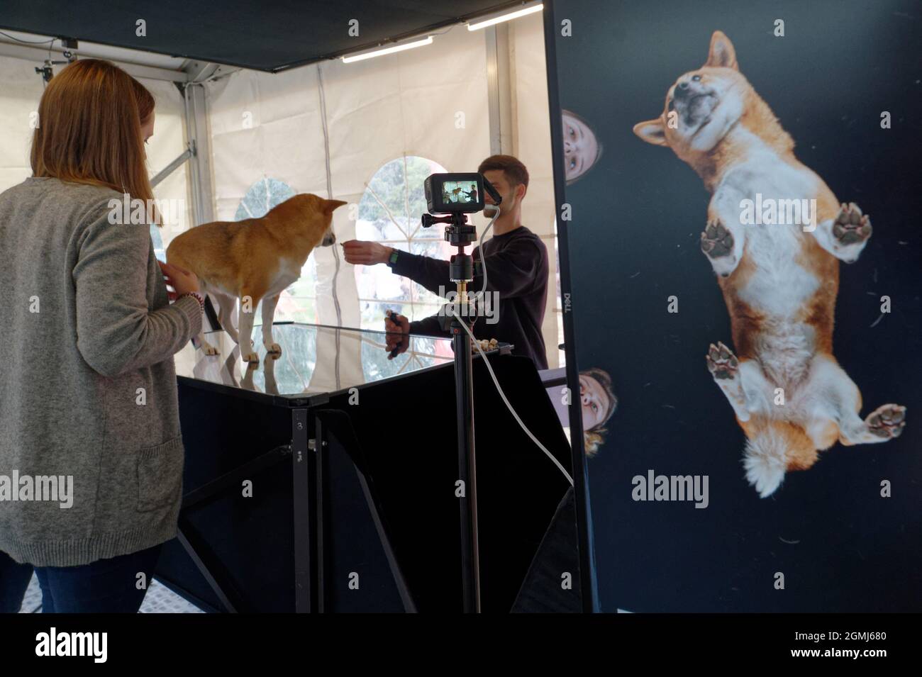Cologne, Germany. 19th Sep, 2021. Photographer Andrius Burba takes a ...