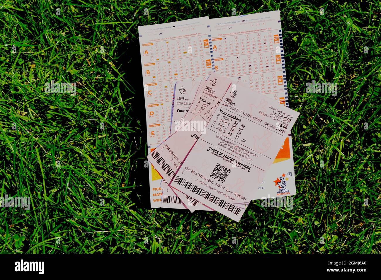 Lottery tickets and slips Euromillion on green grass Stock Photo - Alamy
