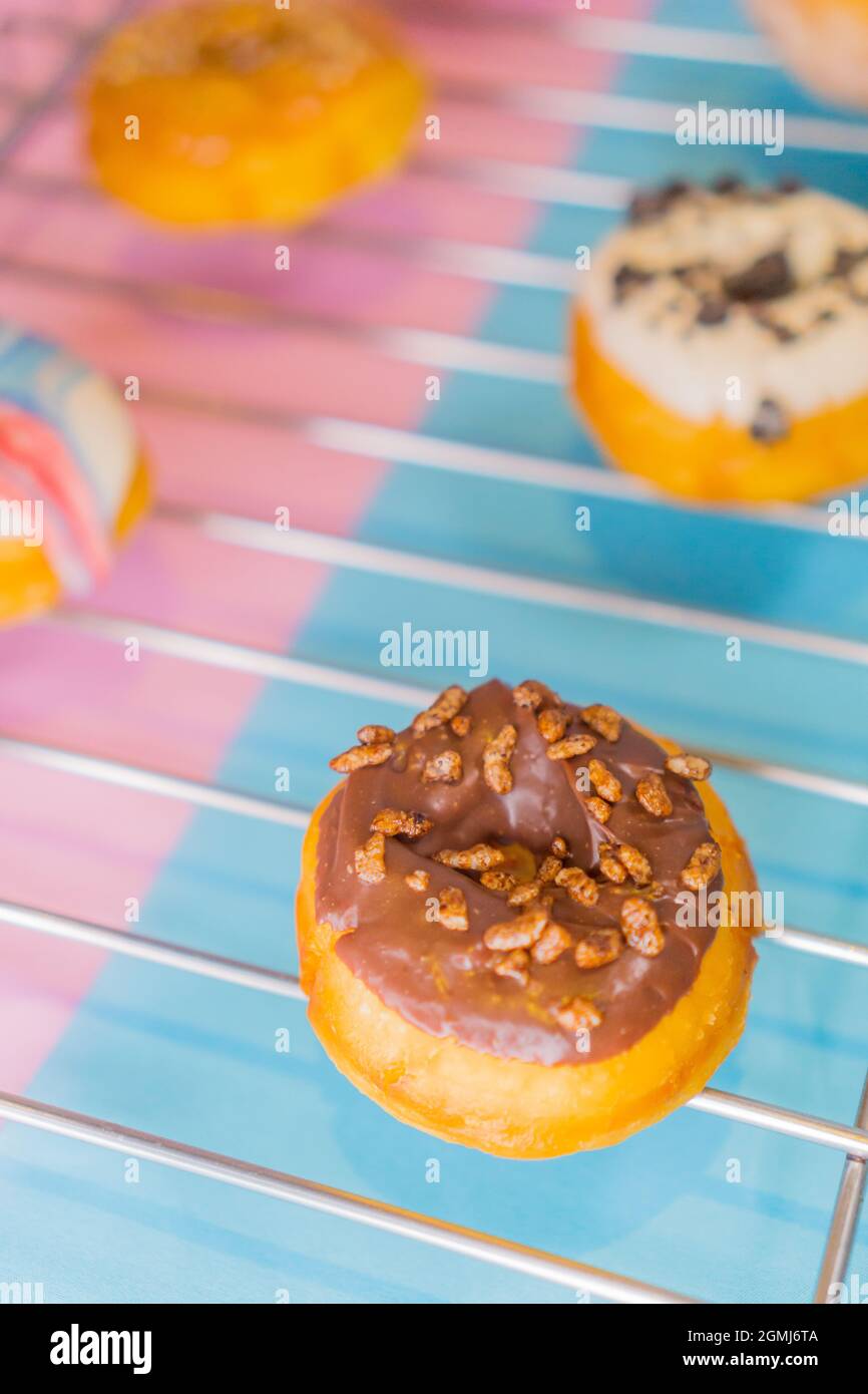 A top view of colorful tasty doughnuts on a metal net Stock Photo - Alamy