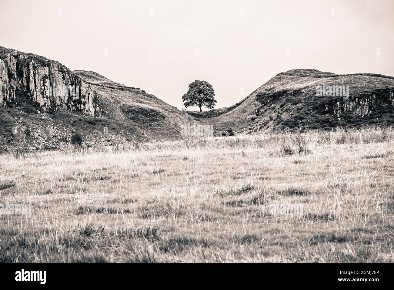The Hadrian’s Wall Path is an 84 mile (135 km) long National Trail ...