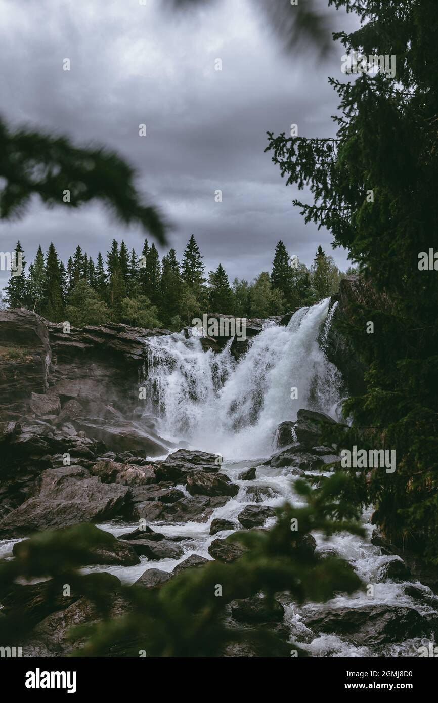 A vertical shot of a beautiful waterfall surrounded with dense green ...