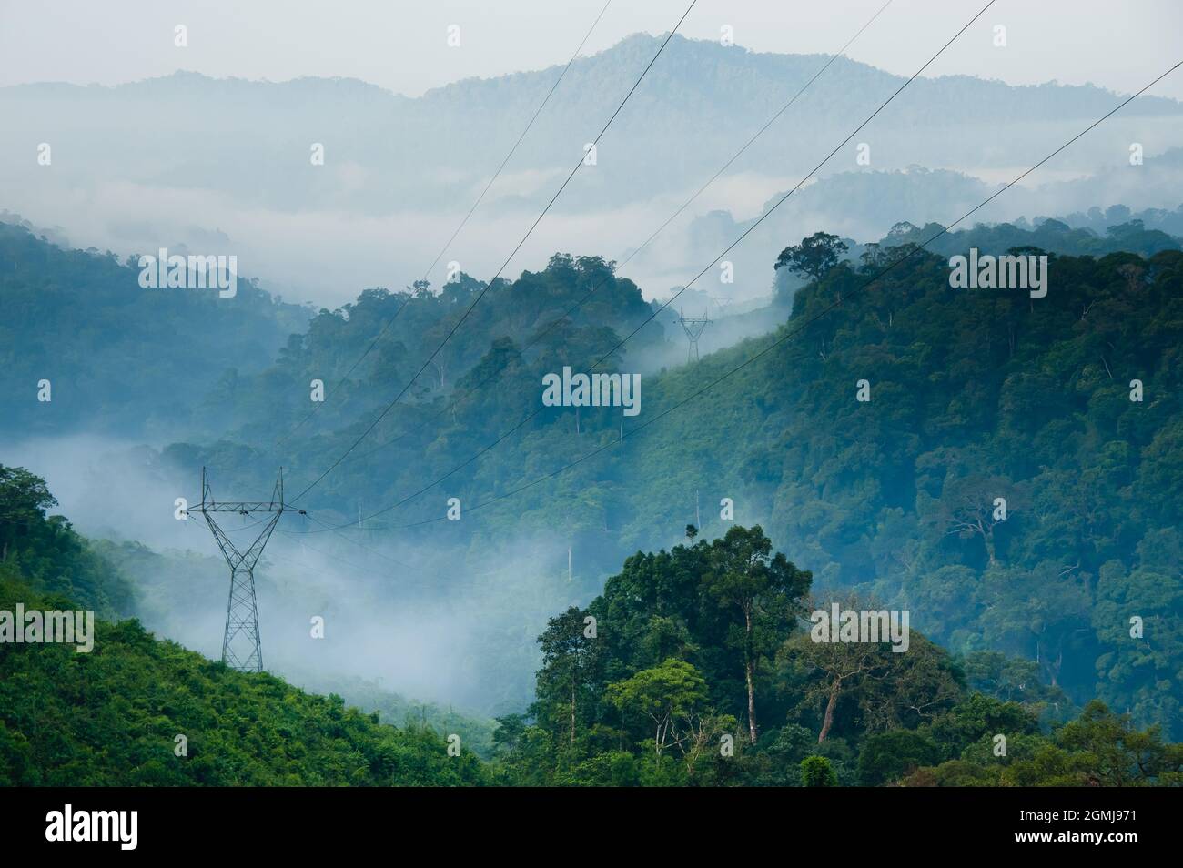 high voltage post in rainy forest with mist near by Stock Photo - Alamy